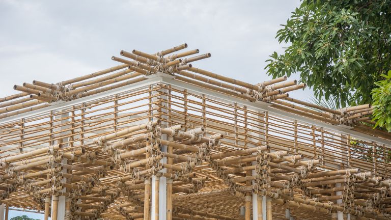 Engineered Bamboo: Future of Sustainable Elegance