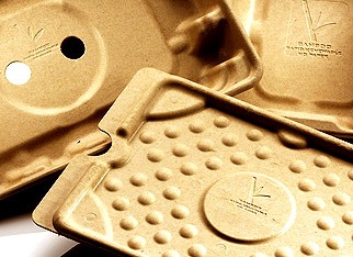 Bamboo Revolution: Sustaining Tomorrow